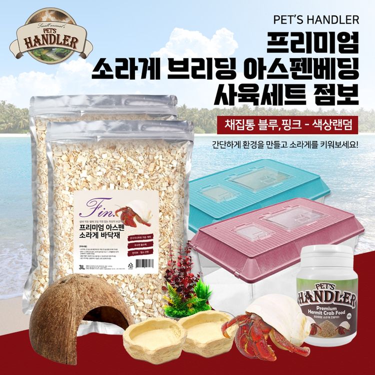 펫츠핸들러 프리미엄 소라게 브리딩 아스펜베딩 사육세트 점보 색상랜덤 홈플러스 택배배송