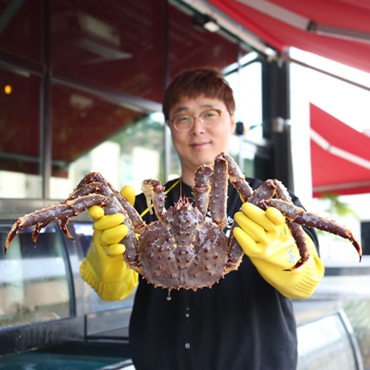 러시아 활 레드 킹크랩 3kg 홈플러스 택배배송