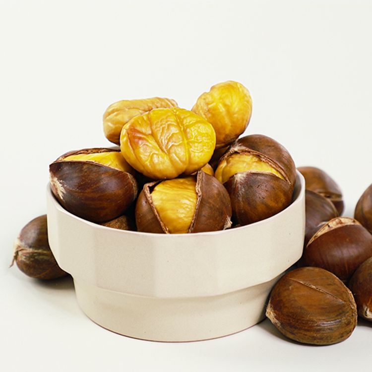 달콤한 꿀밤 대표간식 약단밤 1kg X 1봉 홈플러스 택배배송