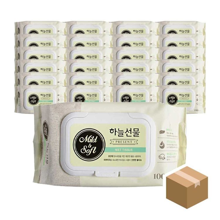 하늘선물 물티슈 100매 캡형x24개입 Box 홈플러스 택배배송