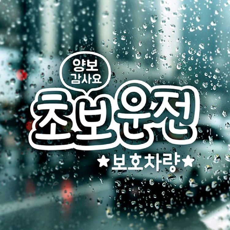 양보감사용 N817349e0fe 초보운전 초보자동차스티커 반사 홈플러스 택배배송