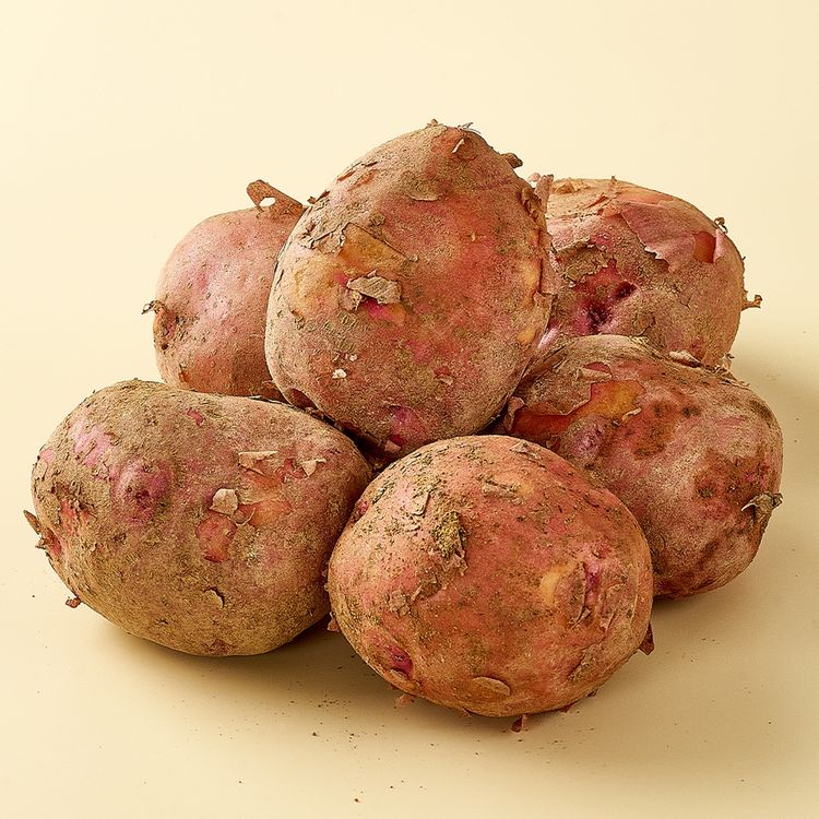 포슬포슬 홍감자 5kg 왕특 150g 이상 홈플러스 택배배송