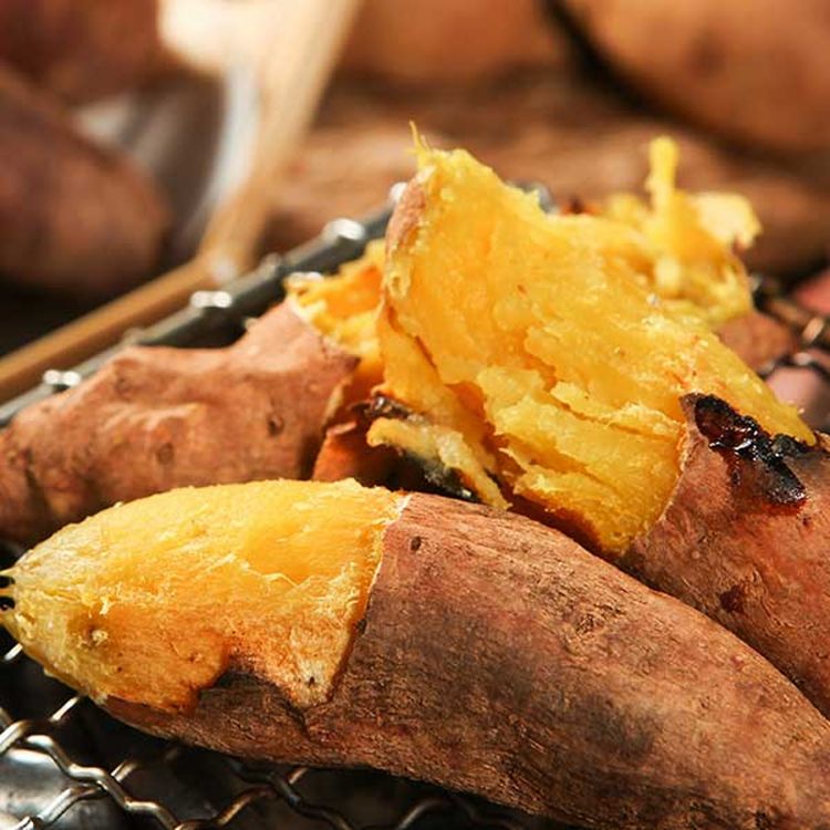 산지직송 충남태안 고당도 호박 꿀 고구마 베니하루카 특상 10kg 홈플러스 택배배송