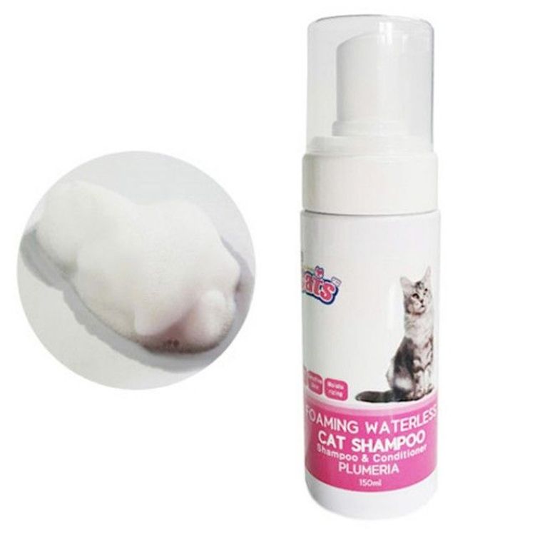반려묘 워터리스 샴푸 150ml 푸르메리아향 1p 고양이 애묘 캣샴푸 고양이샴푸 고양이목욕 홈플러스 택배배송