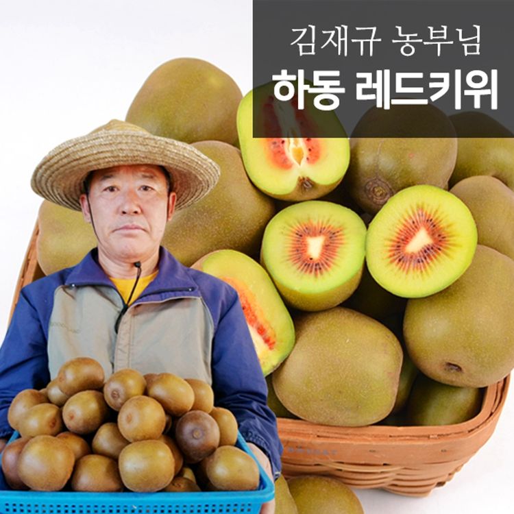 참다올 김재규농부의 Gap하동 레드키위 2kg27 33개중과 홈플러스 택배배송