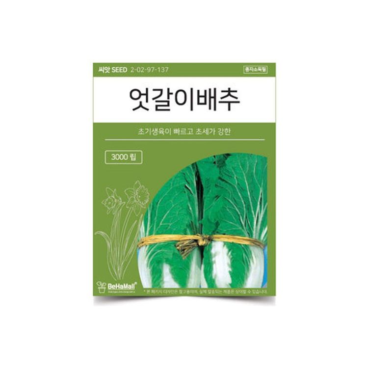 베하몰 텃밭 채소 씨앗 엇갈이배추 홈플러스 택배배송