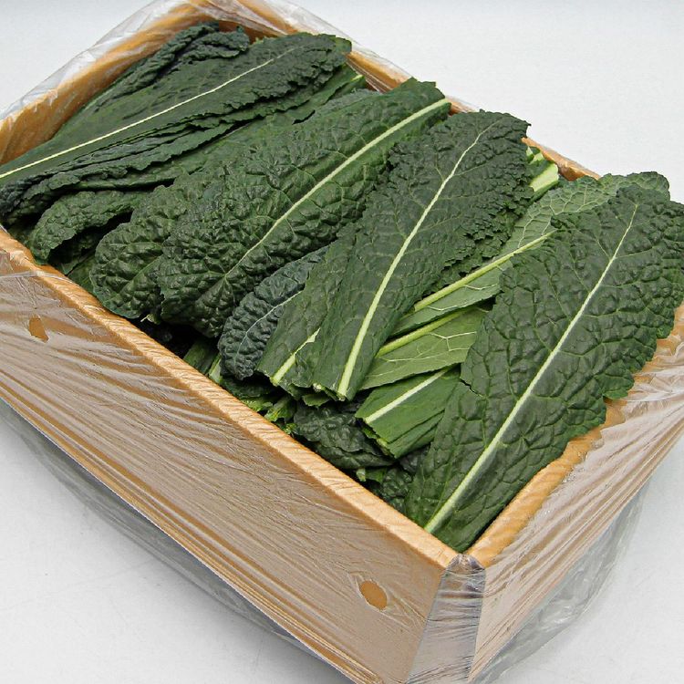 국내산 특품 뉴그린 반박스 1kg 쌈채소 샐러드야채 가락시장 당일새벽경매 홈플러스 택배배송