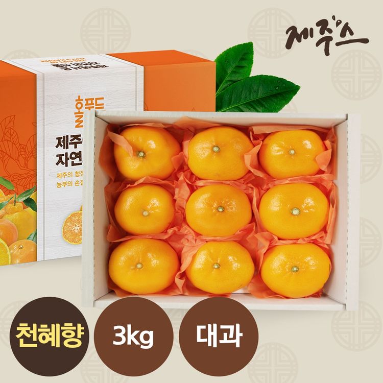 제주직송 제주스 천혜향 선물세트 3kg 대과7 10과 1박스 홈플러스 택배배송