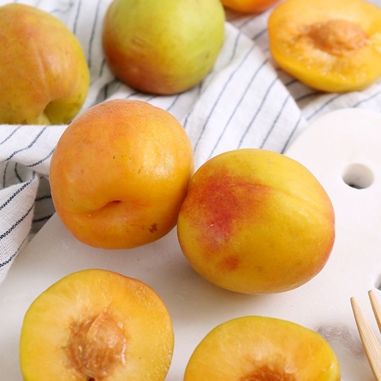 산지직송 전남 순천 플럼코트 1kg 14과내 홈플러스 택배배송