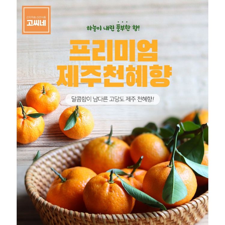 고씨네 산지직송 천혜향3kg 황금향 감귤 밀감 한라봉 홈플러스 택배배송
