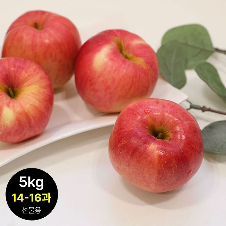 사과 부사 선물용 제수용 꿀사과 청송사과 선물용 5kg 14 16과 홈플러스 택배배송