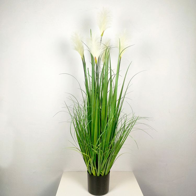 팜파스그라스 갈대 조화화이트120cm 인조갈대 홈플러스 택배배송