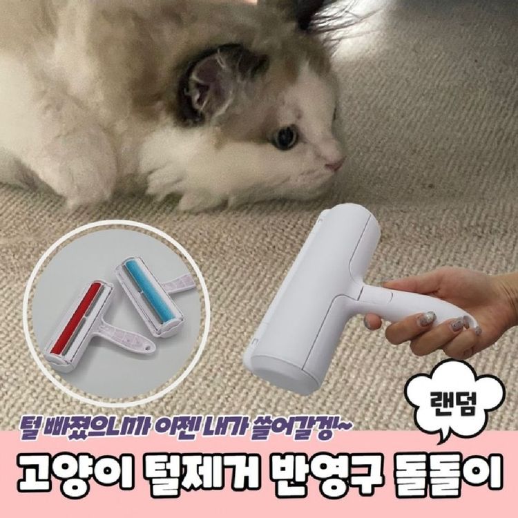 고양이털 털제거 반영구 돌돌이 홈플러스 택배배송