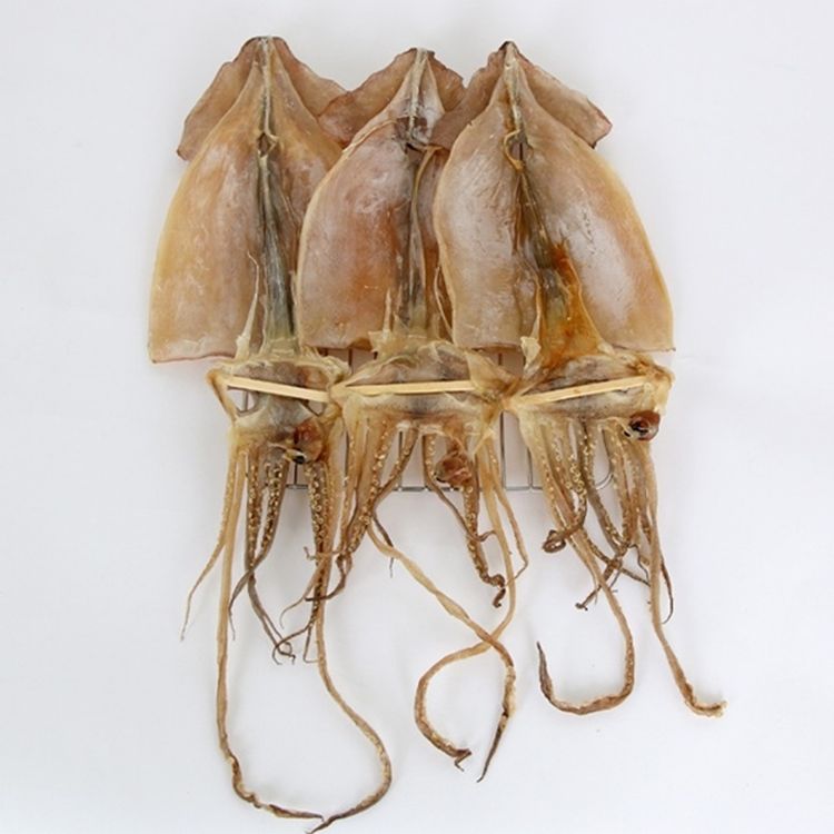 쫄깃쫄깃 달콤한 건어물 마른 안주 간식 마른 오징어 1미 70g 이상 홈플러스 택배배송