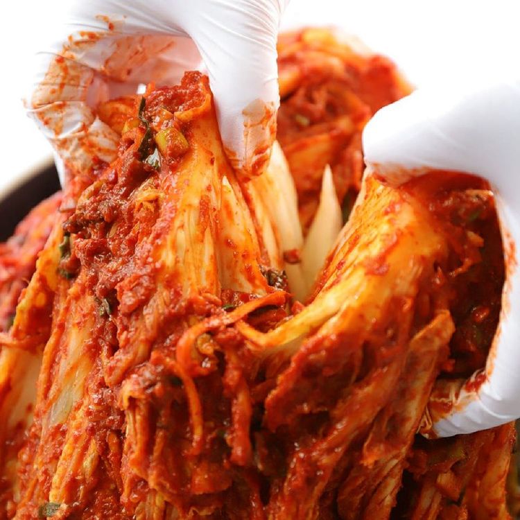 국내산 숙성 김치 묵은지 10kg 홈플러스 택배배송