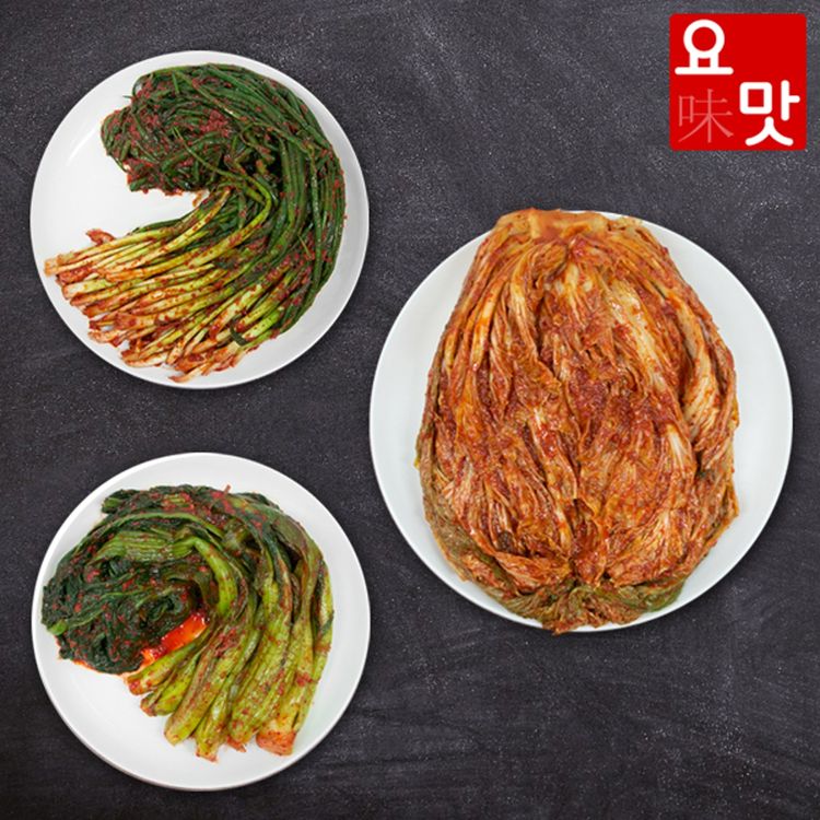요맛김치 전라도 포기김치9kg파김치1kg여수갓김치1kg 홈플러스 택배배송
