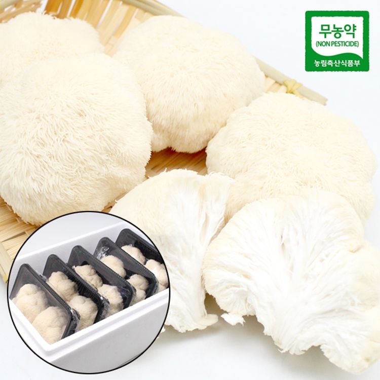 국내산 무농약 100 생 노루궁뎅이버섯 1kg 홈플러스 택배배송