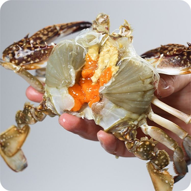 산지직송 국내산 연평도 급냉 알배기 암꽃게 2kg 6 10미 홈플러스 택배배송
