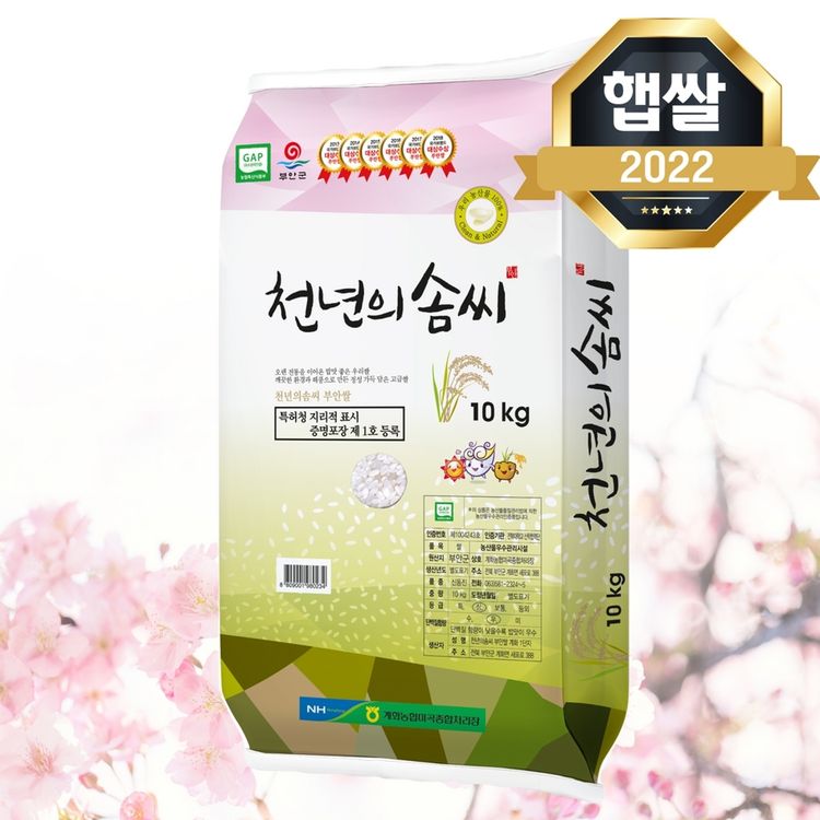 천년의 솜씨 신동진쌀10kg 농협 상등급 홈플러스 택배배송