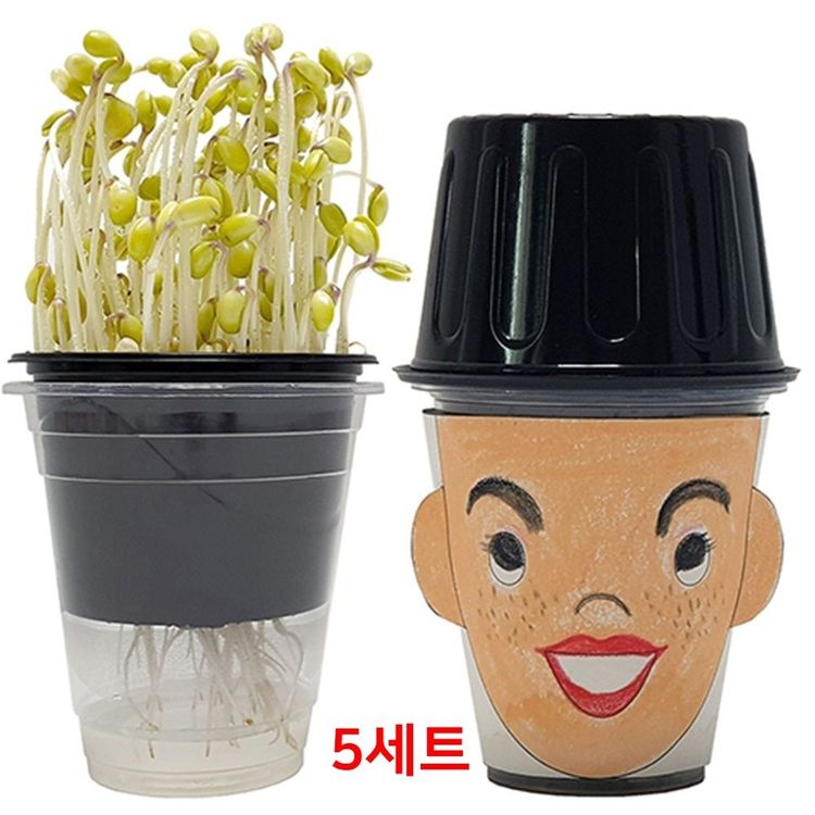컬러링얼굴꾸미기 콩나물재배기 5세트 홈플러스 택배배송