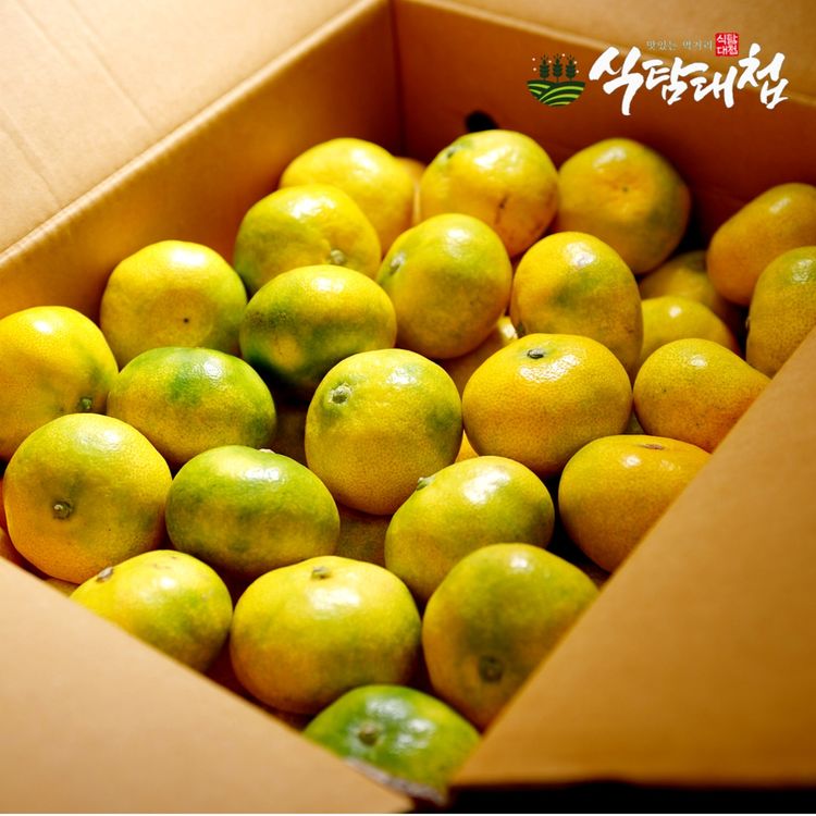 식탐대첩 제주 서귀포 노지 조생귤 25kg 중대 홈플러스 택배배송