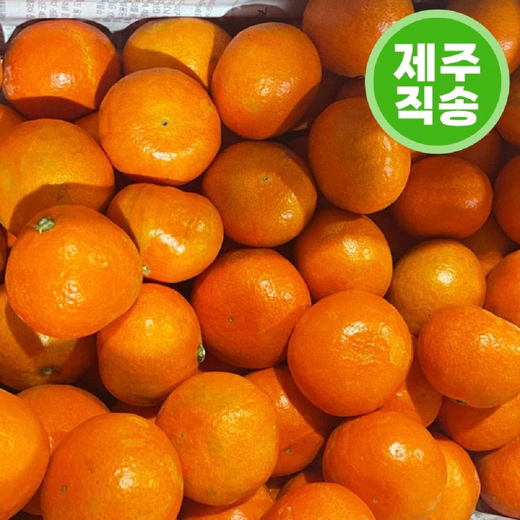 오렌지팜 제주 홍미향 대과 5kg 당도높은귤 동백향 제주홍귤 가정용 미하야 홈플러스 택배배송