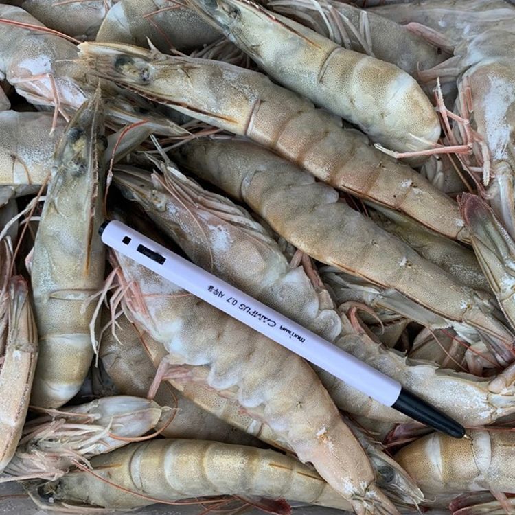 산지직송 신안 오동통 살이꽉찬 국내산 급냉 왕새우 1kg 30미내외 홈플러스 택배배송