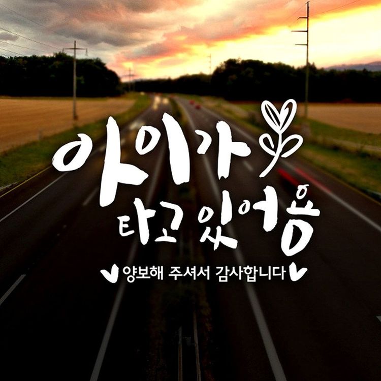 캘리 실용적인 N6273495a5d 아이가타고 새싹 화이트 자동차스티커 반사 홈플러스 택배배송