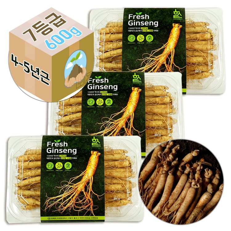 Gsday 고려 생 인삼 4 5년근 수삼 7호 요리용 1800g 홈플러스 택배배송