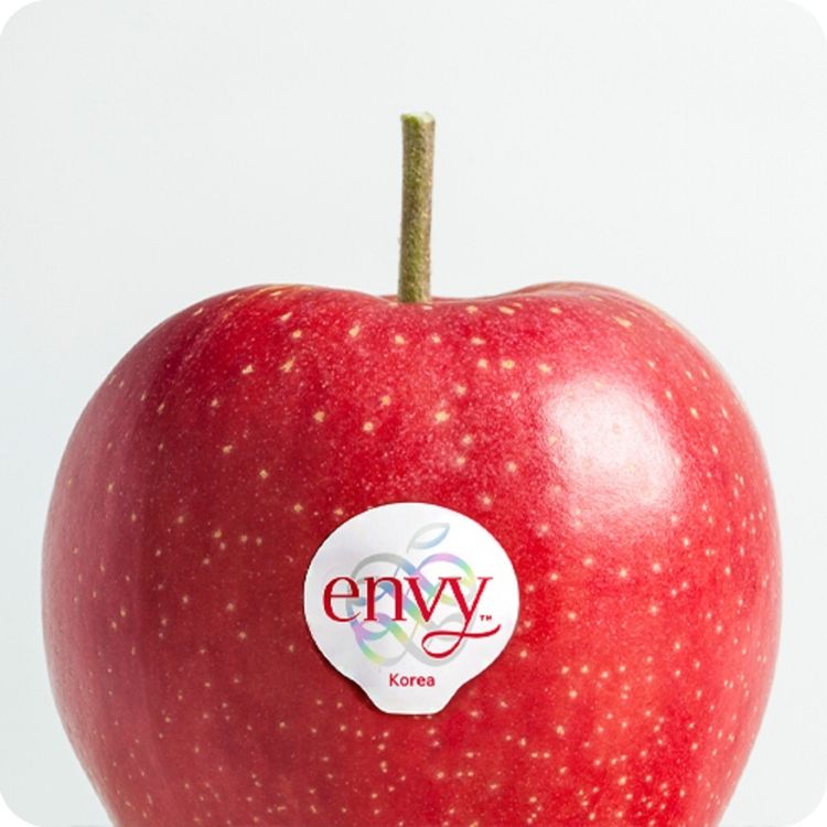국내산 충남 예산 명품 엔비(envy)사과 가정용 2kg (5-9과) | 홈플러스 택배배송