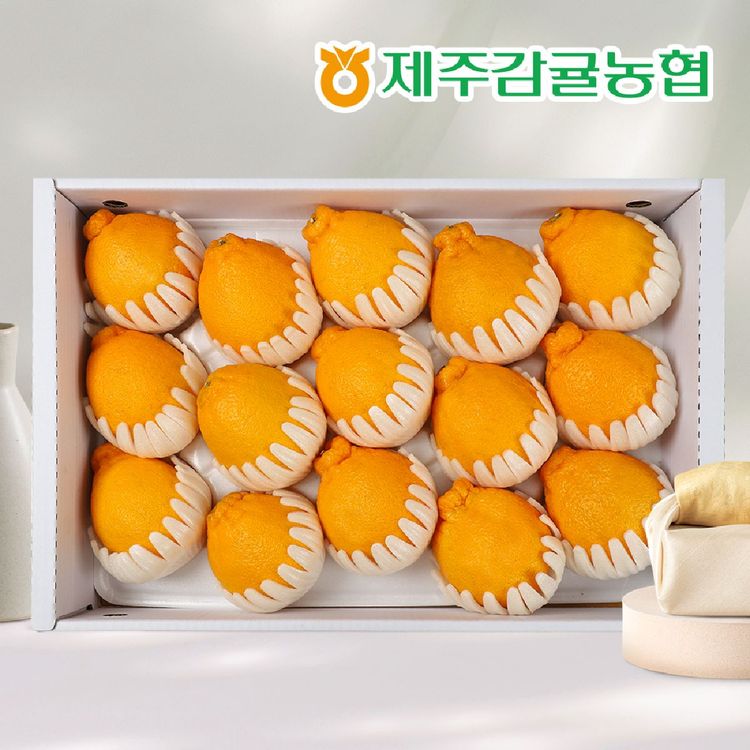 제주바람 제주농협 직송 한라봉 선물세트 5kg13~20과 홈플러스 택배배송