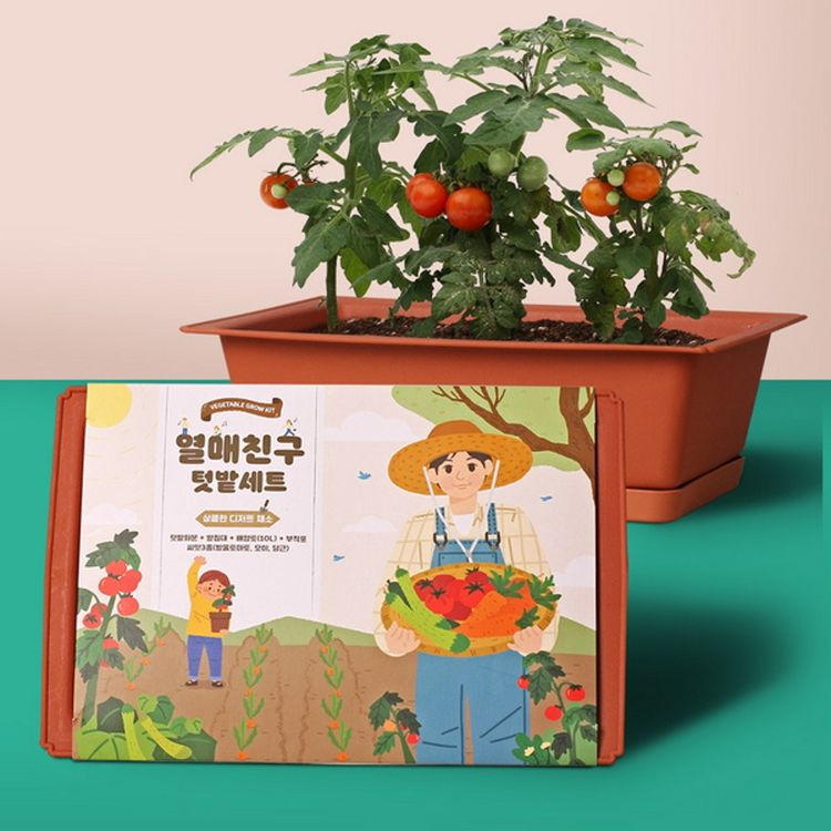 바보사랑 열매친구 키우기 세트물받침대포함 홈플러스 택배배송