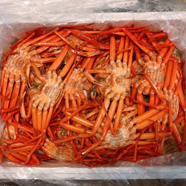 포항 연지 자숙홍게 8 12미 3kg 내외 일반용 B급 수율 70 내외 홈플러스 택배배송