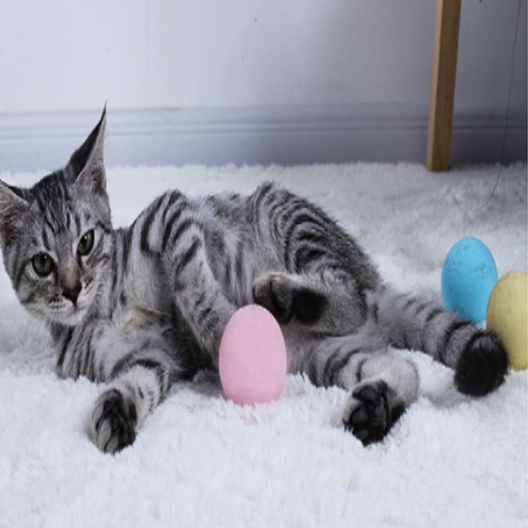고양이 공놀이 혼자노는 장난감공 노즈워크 냥이 홈플러스 택배배송
