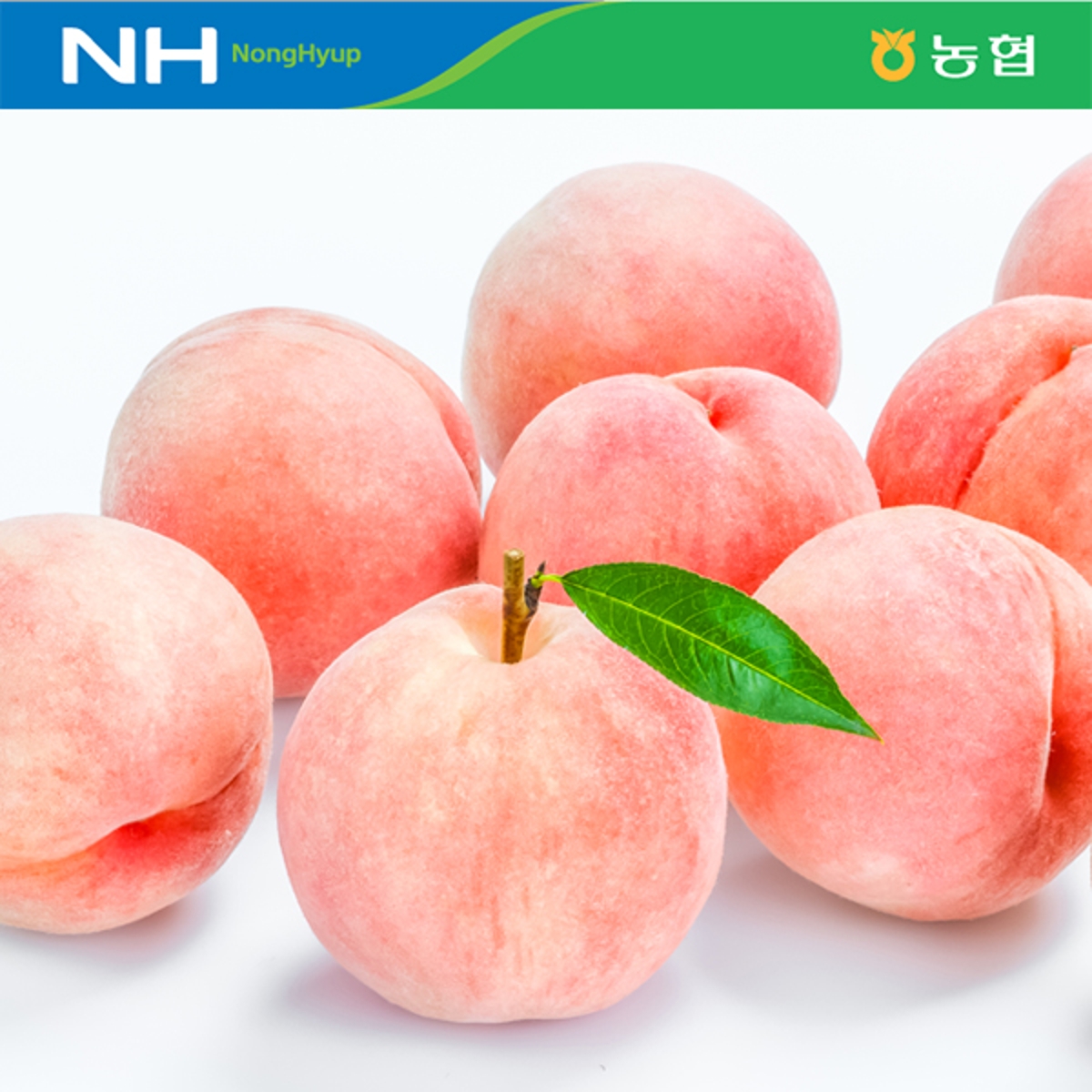 영천농협 달콤아삭 털 복숭아백도 3kg 12과내 홈플러스 익스프레스