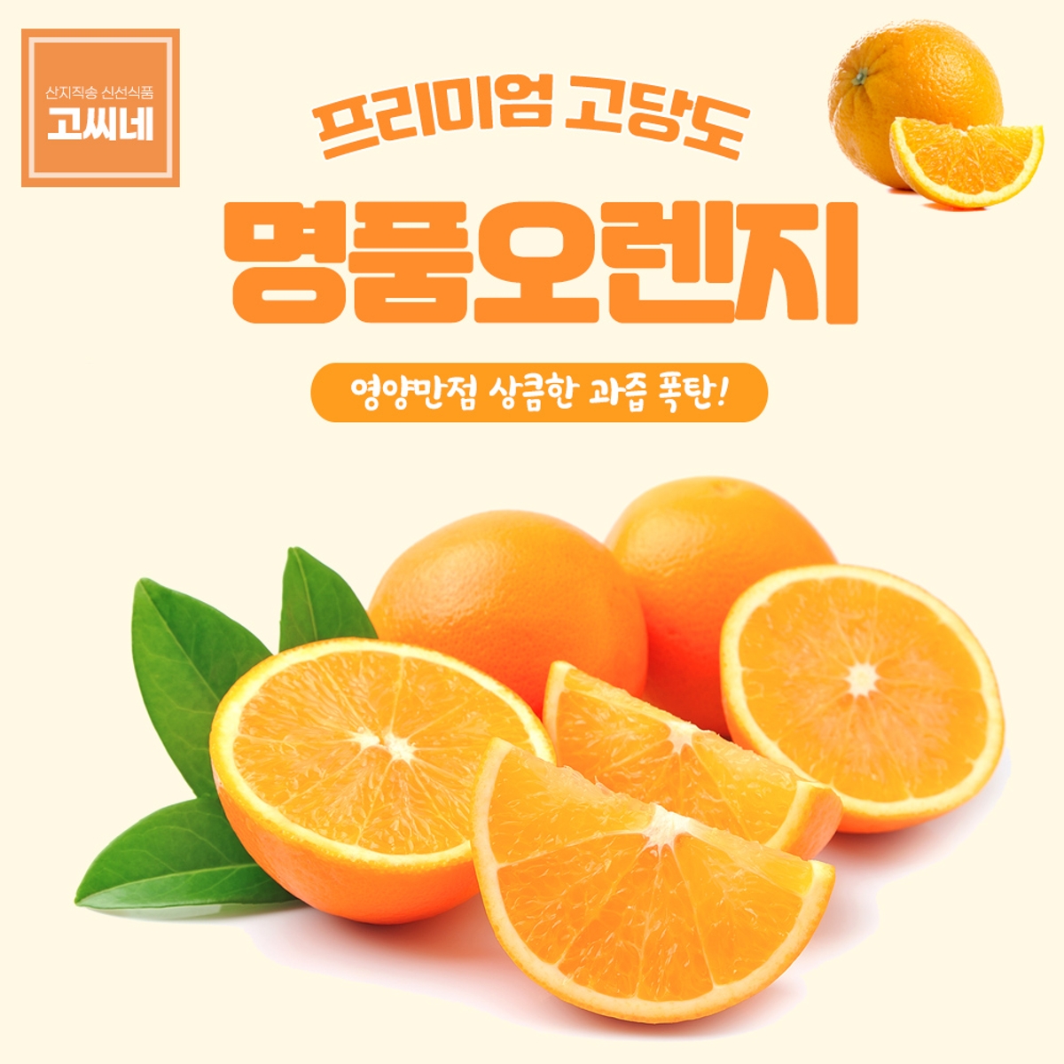 고씨네 프리미엄 오렌지5kg 오렌지 수입산오렌지 귤 홈플러스 택배배송