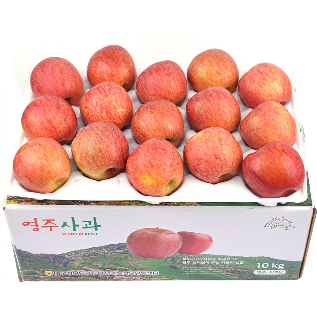 [경북능금농협]아이러브 영주사과 정품 10kg 28~32과 홈플러스 택배배송
