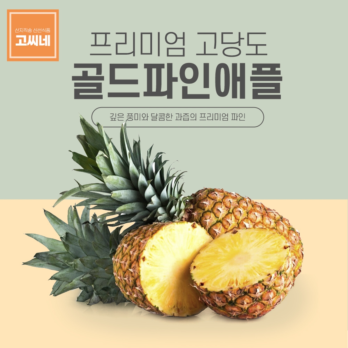 고씨네 프리미엄 파인애플1 5kg 수입산 미니파인애플 홈플러스 택배배송